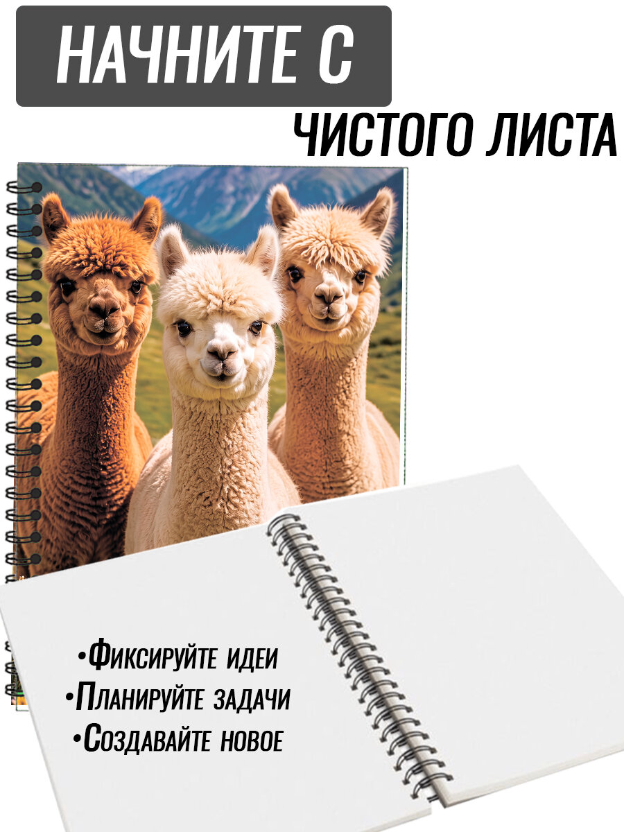 Блокнот Альпаки, Alpacas — фото 1