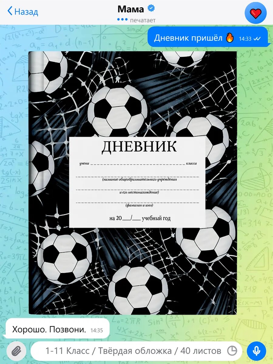 Школьный дневник с принтом Футбол