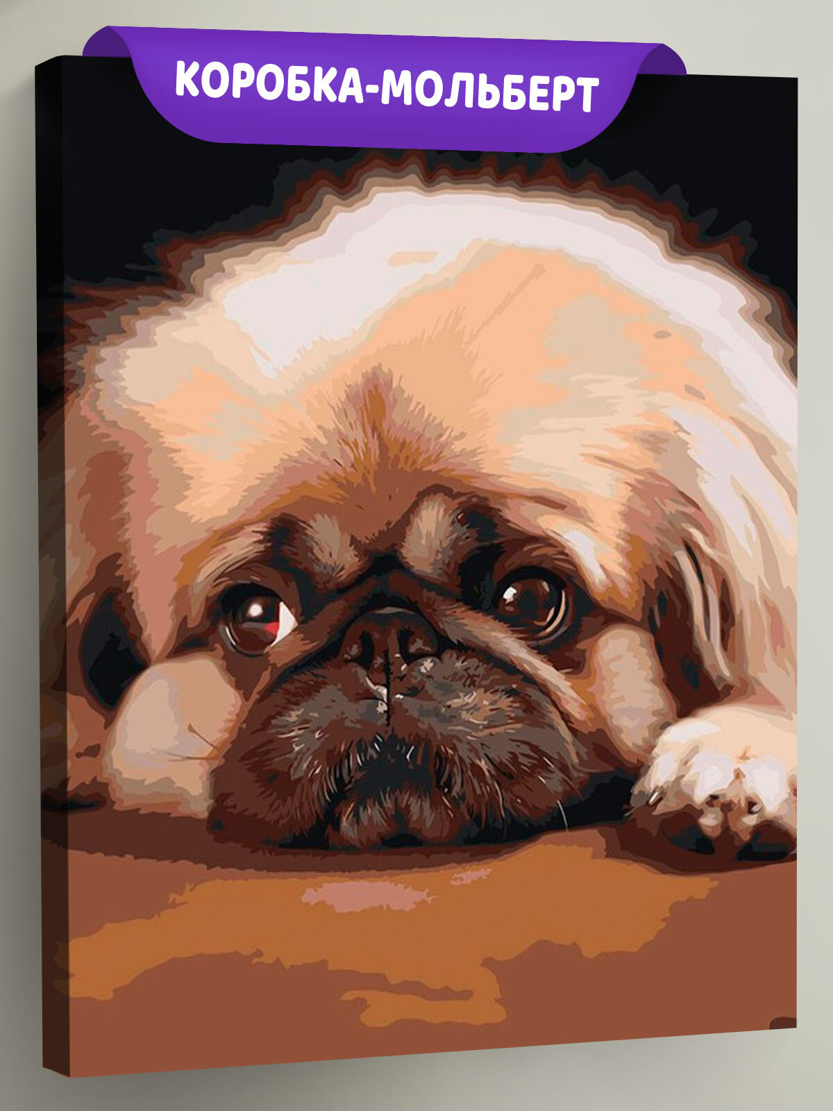 Картина по номерам на холсте с подрамником "Грустная собака Пекинес" Раскраска 40х50 см, Животные Детская