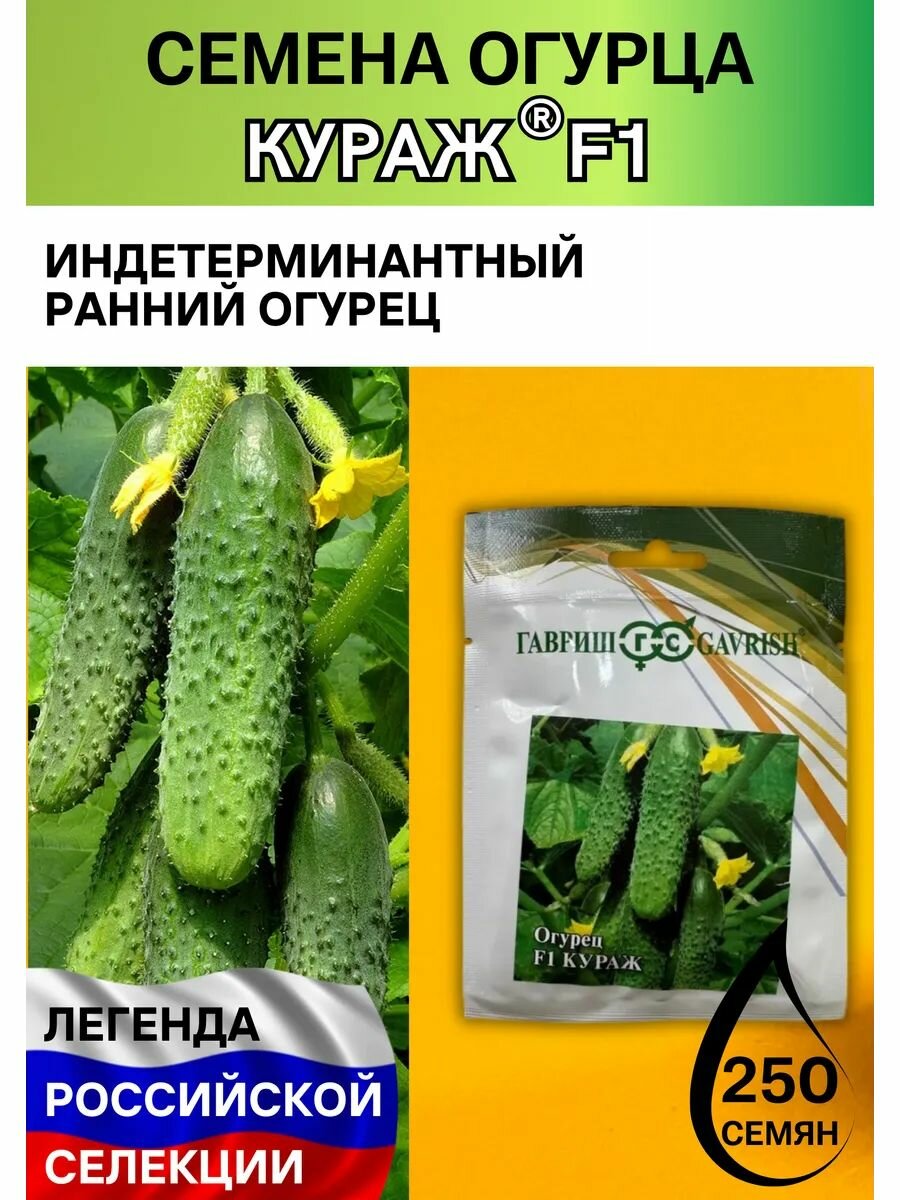 Огурец Кураж F1 250 семян Гавриш профессиональные семена ранний гибрид