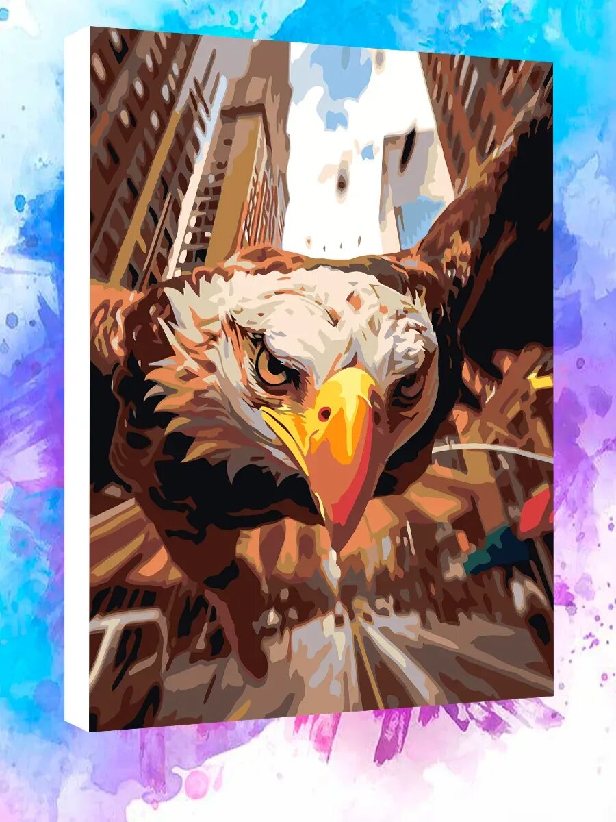 Картина по номерам Орёл Птица