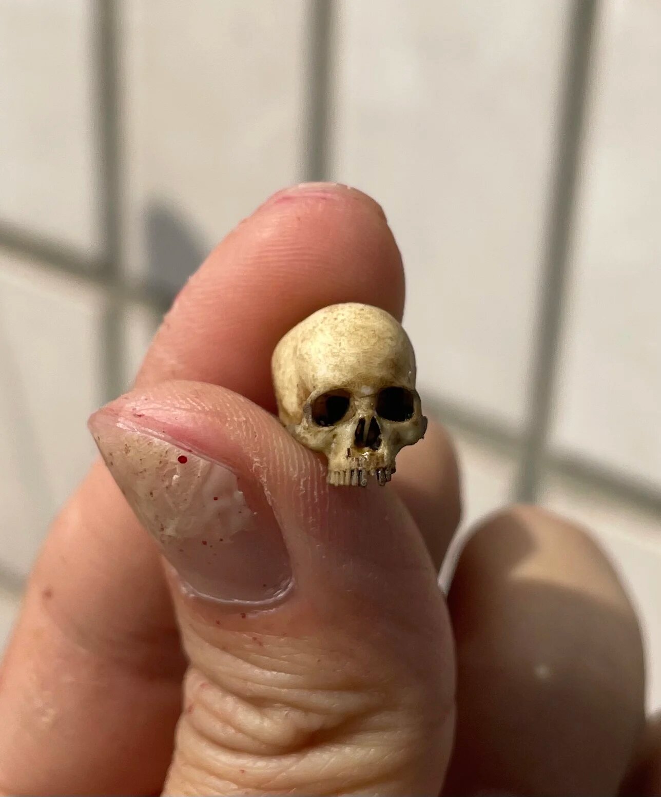 Мини-череп из смолы Feisifan 1