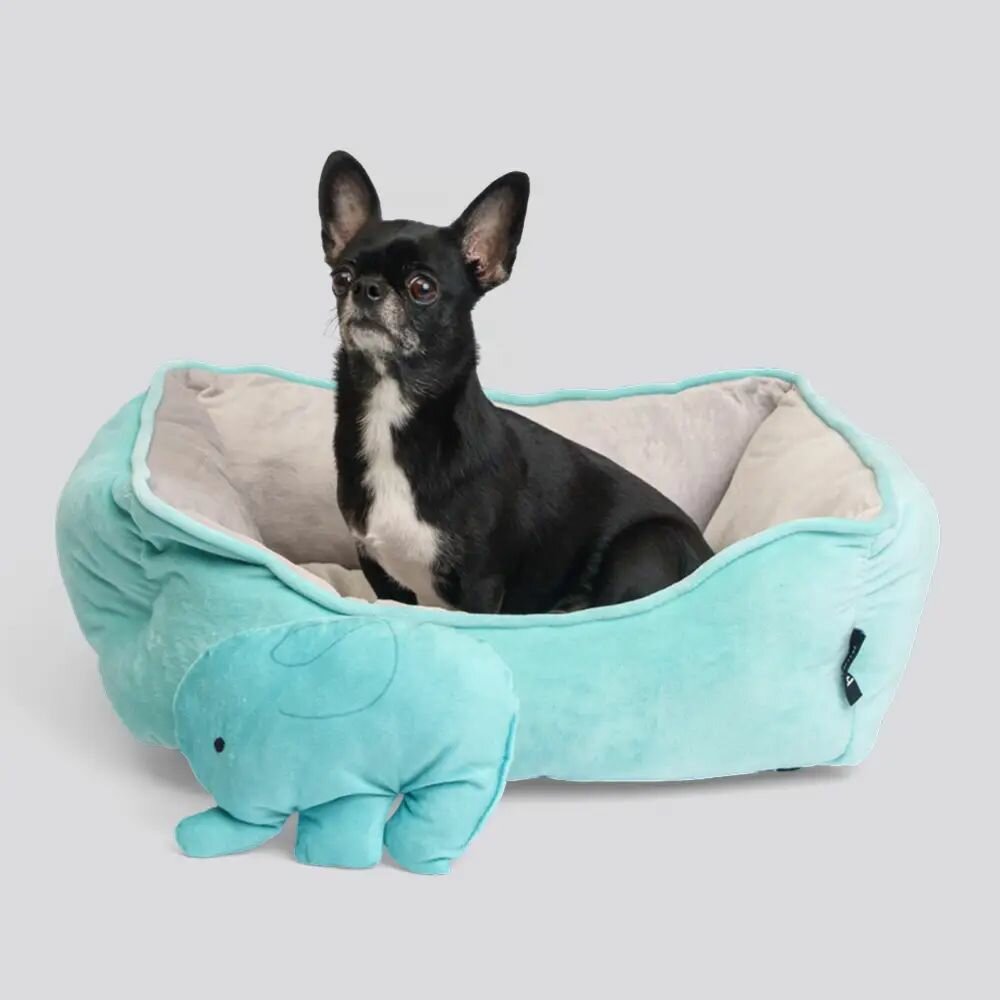 RURRI Лежанка с игрушкой для кошек и собак мелких пород Слонёнок, 54х45х17 см, бирюзовый