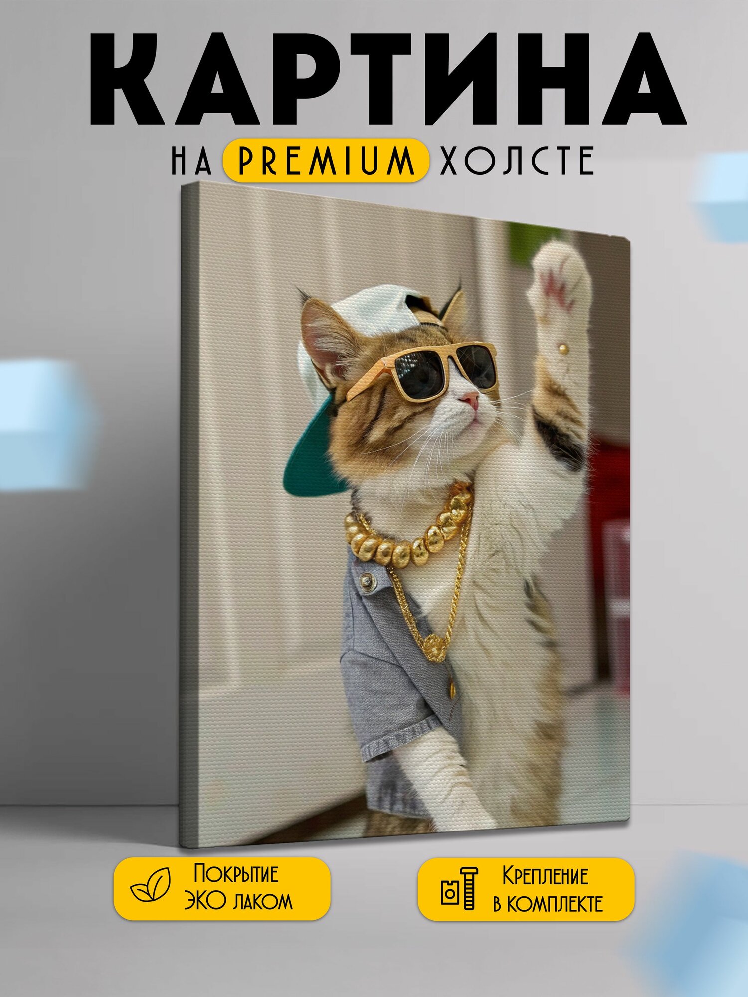 Картина, смешные животные, крутой кот в очках
