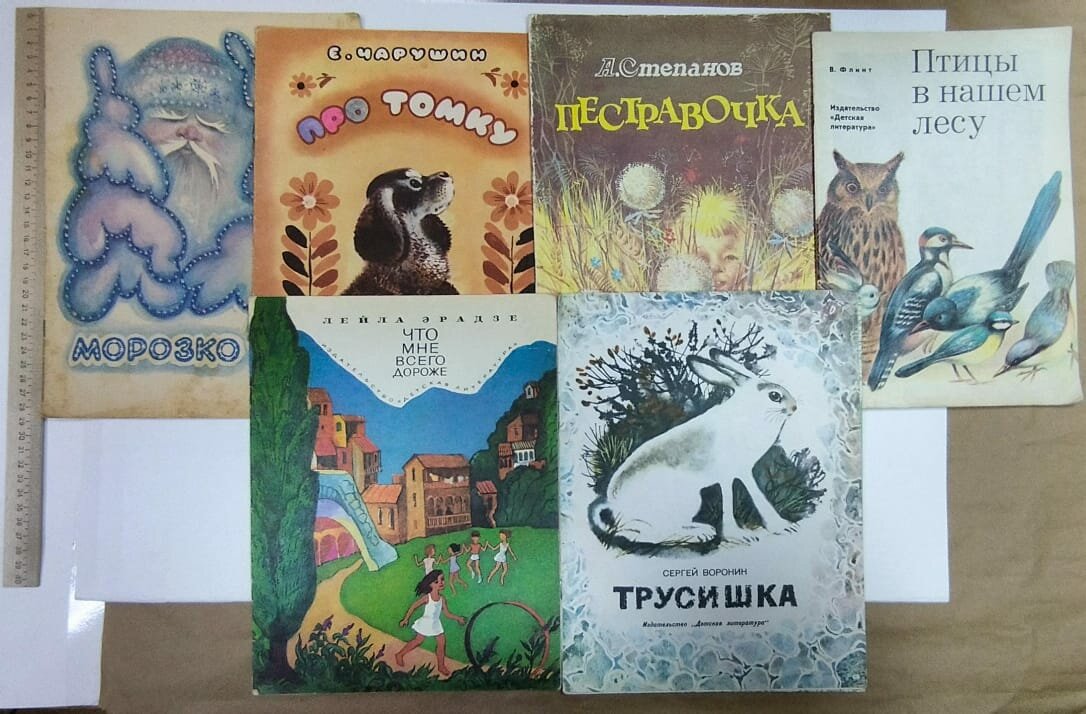 Детские книги увеличенного формата: Морозко. Про Томку. Пестравочка. Птицы в нашем лесу. Что мне всего дороже. Трусишка (комплект из 6 книг)
