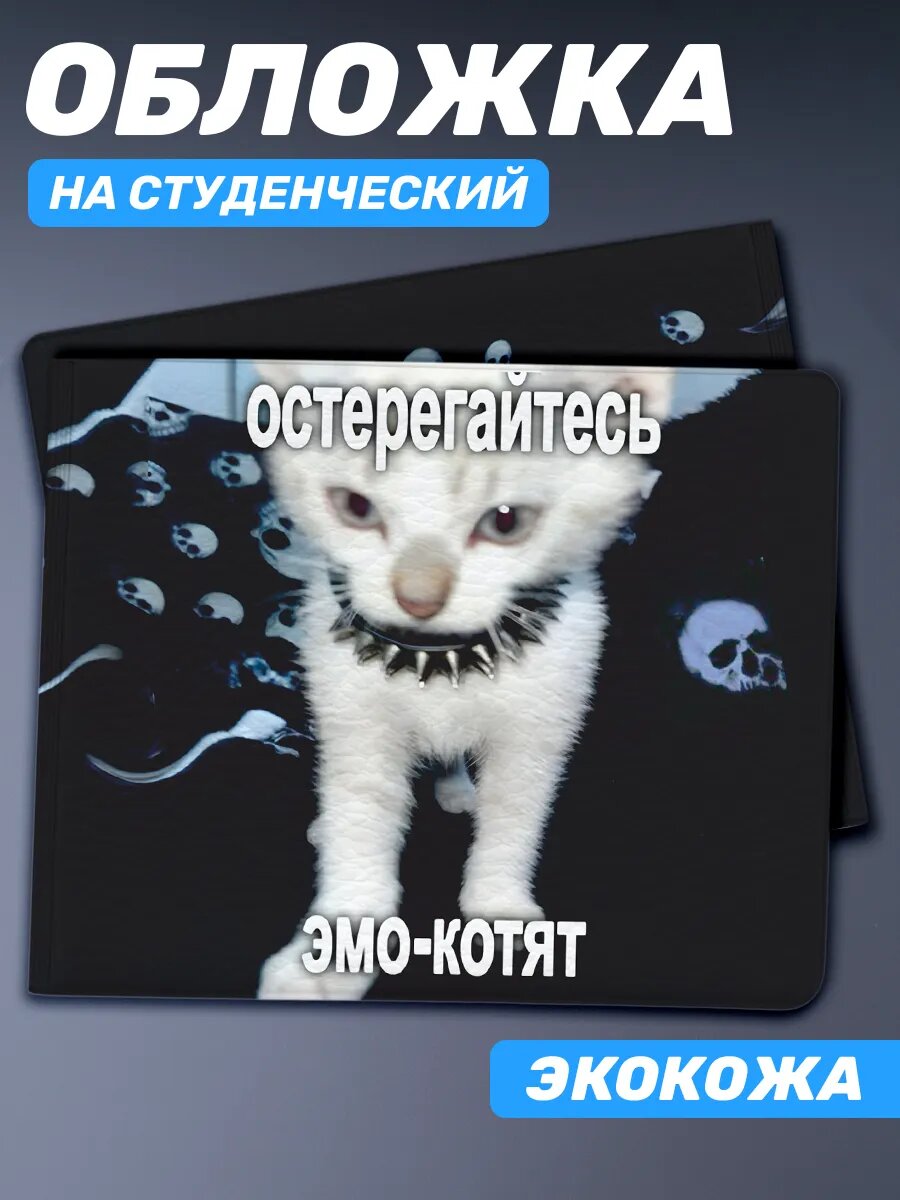 Обложка для студенческого билета