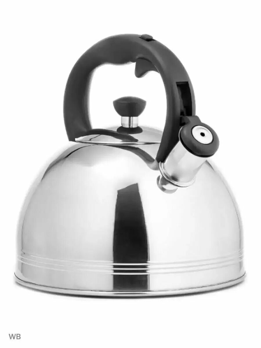 Чайник LR00-064 для плиты 4 л из нержавеющей стали