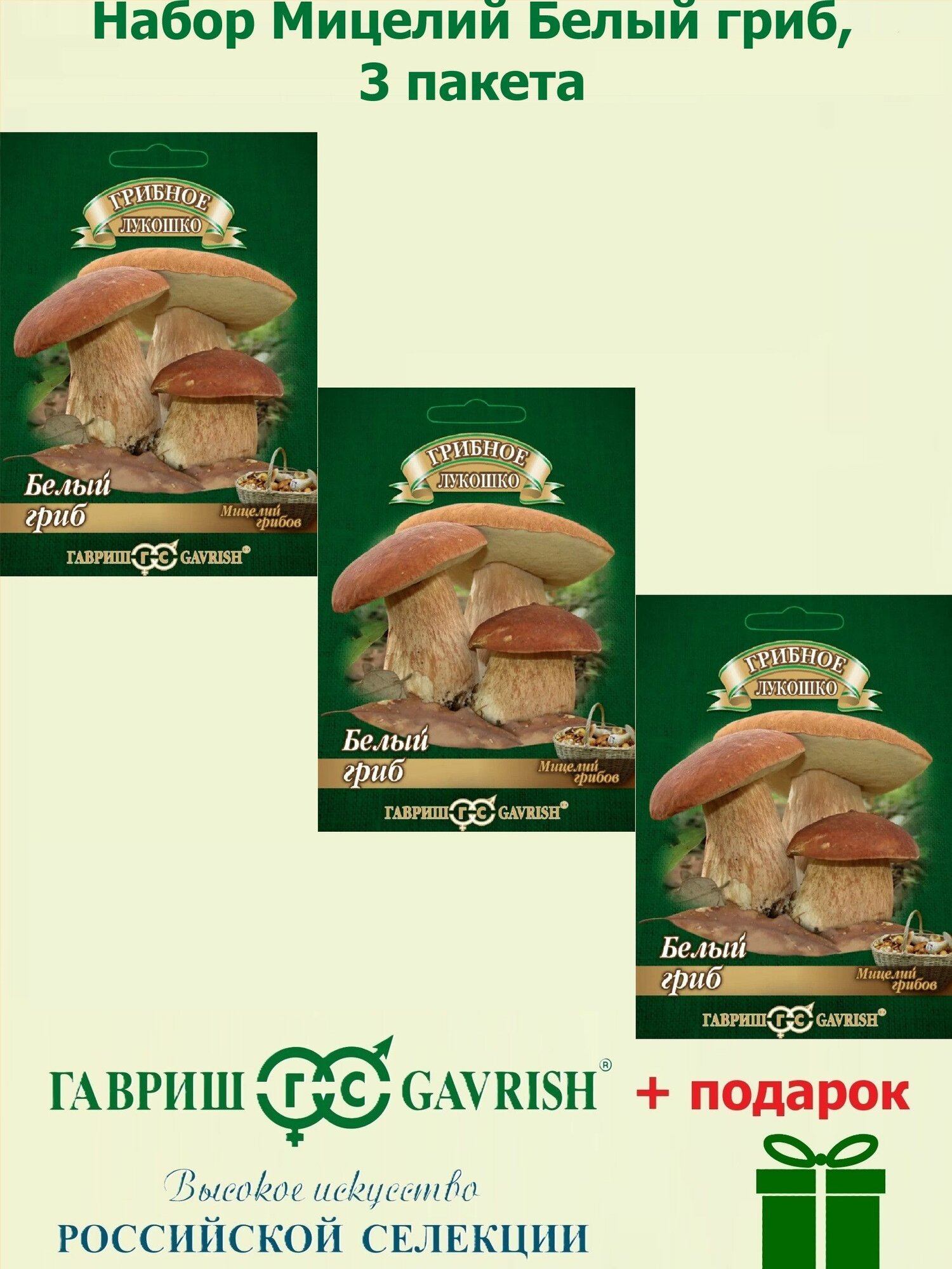 Набор Мицелий Белый гриб на зерновом субстрате, 3 пакета, Гавриш