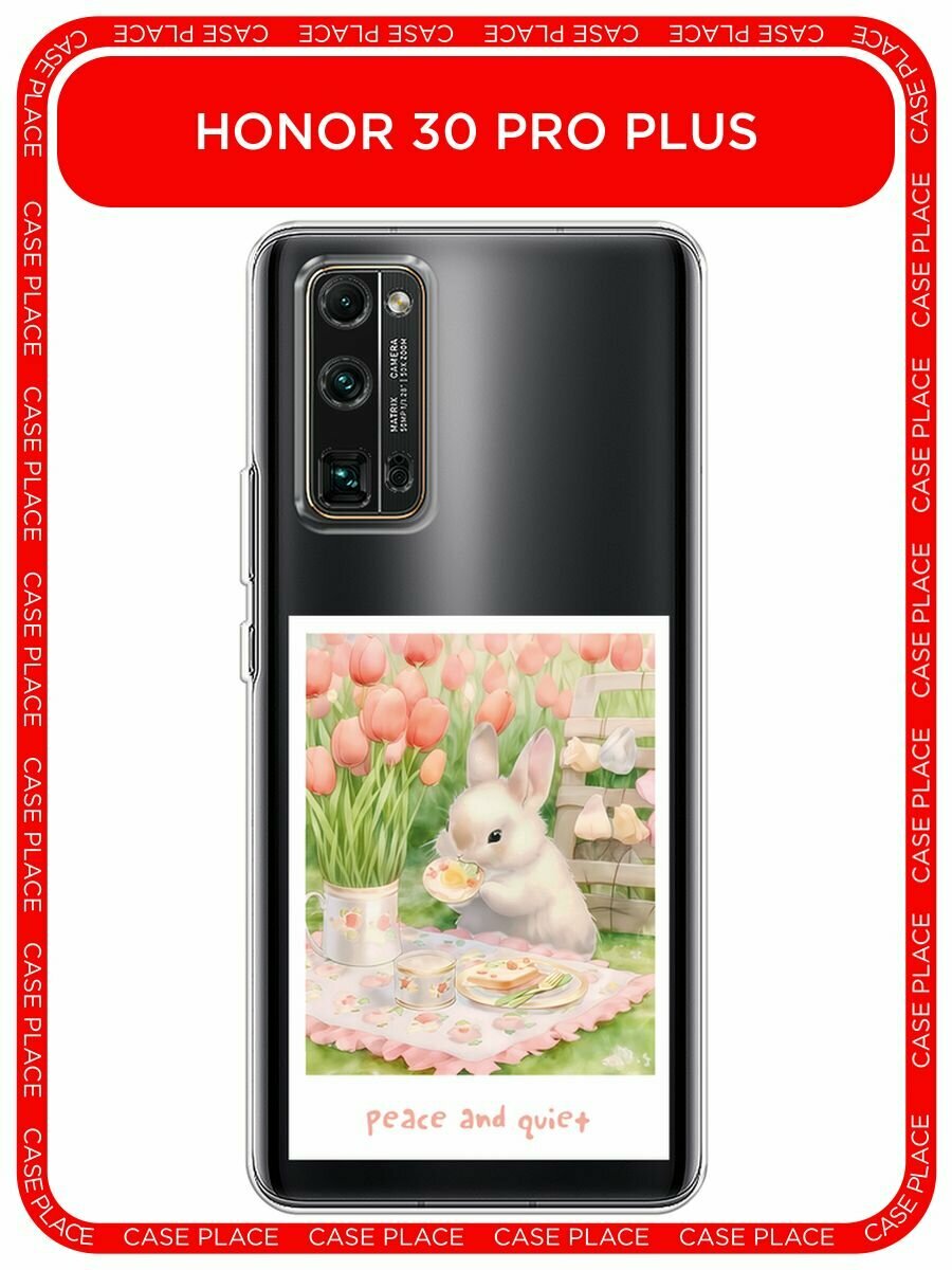 Чехол на Honor 30 Pro Plus / Хонор 30 Про Плюс с принтом "Кролик на пикнике", прозрачный