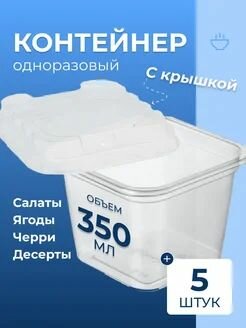 Контейнер пластиковый одноразовый для салатов и десертов