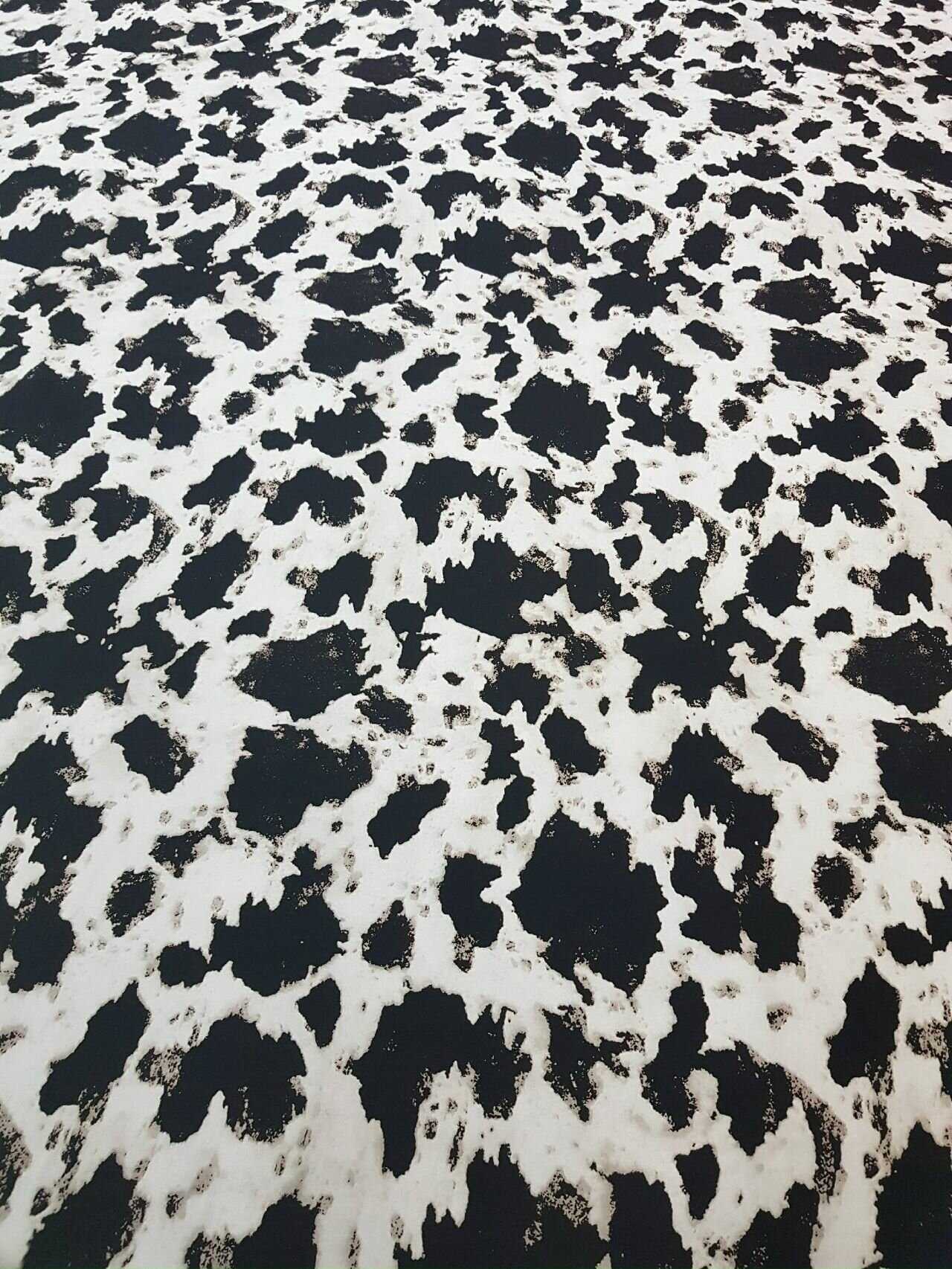 Кулирка с лайкрой принтованная "Корова черно белая", ширина 180см, длина 60 см.