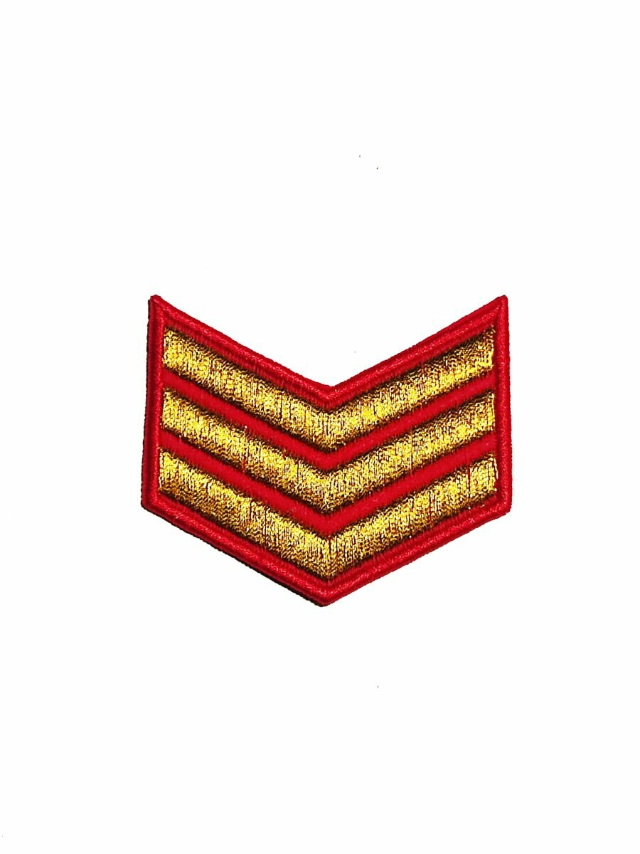 Курсовка 3 курс /красное сукно/золото/гладь