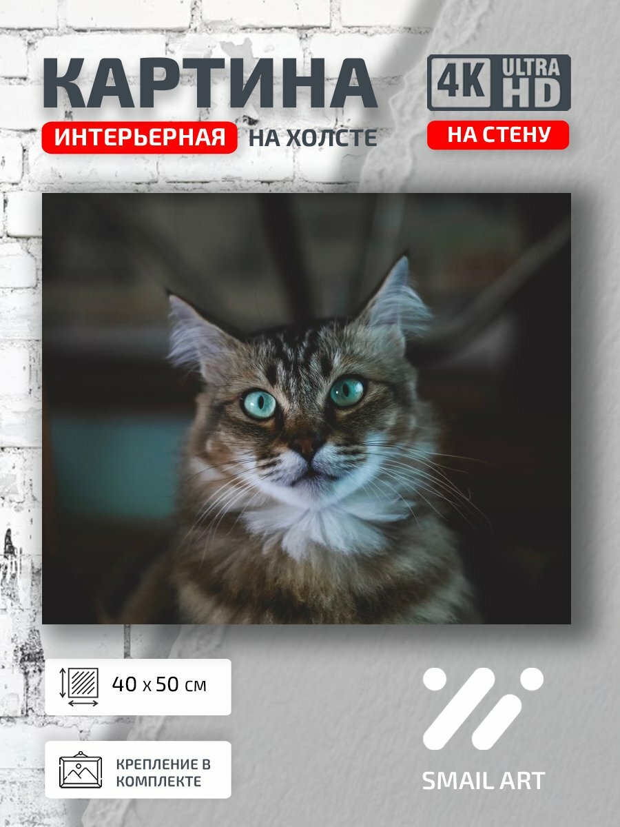 Картина на холсте интерьерная 40 на 50 на стену Глаза Animal для кабинета animal style