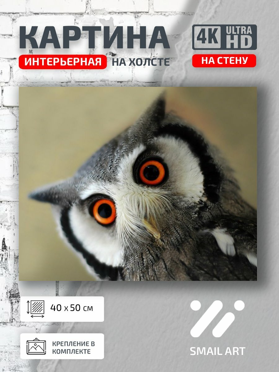Картина на холсте интерьерная 40 на 50 на стену Сова Animal для спальни animal style декор