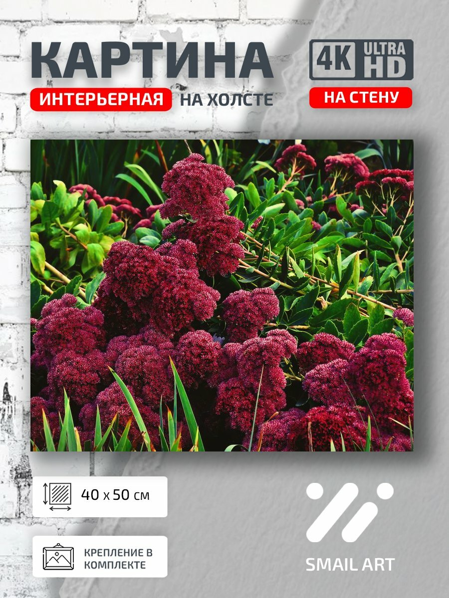 Картина на холсте интерьерная 40 на 50 на стену Саду Landscape для спальни пейзаж интерьер
