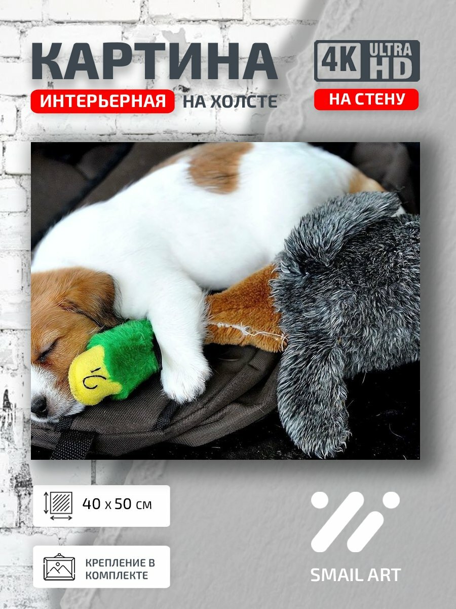 Картина на холсте интерьерная 40 на 50 на стену Игрушка Animal для спальни animal style