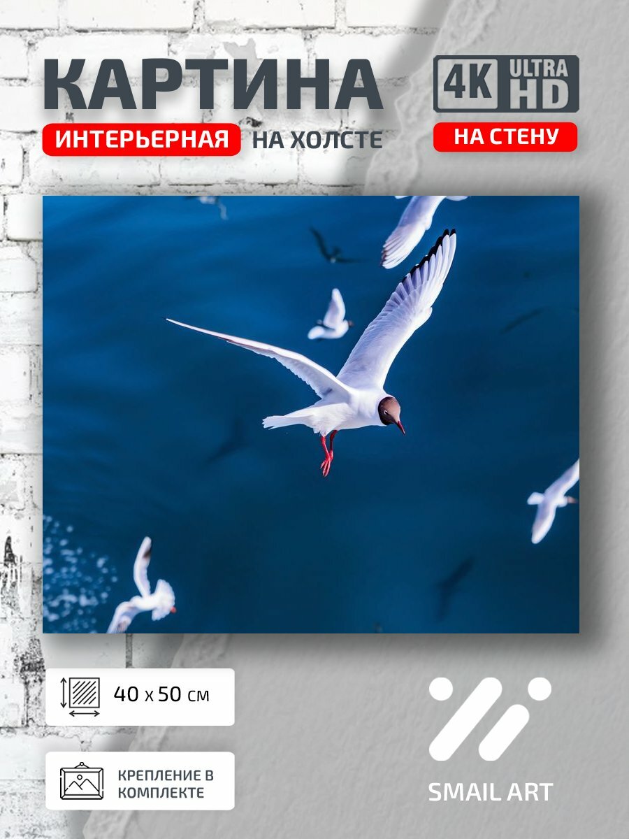 Картина на холсте интерьерная 40 на 50 на стену Птицы Landscape для гостиной пейзаж декор