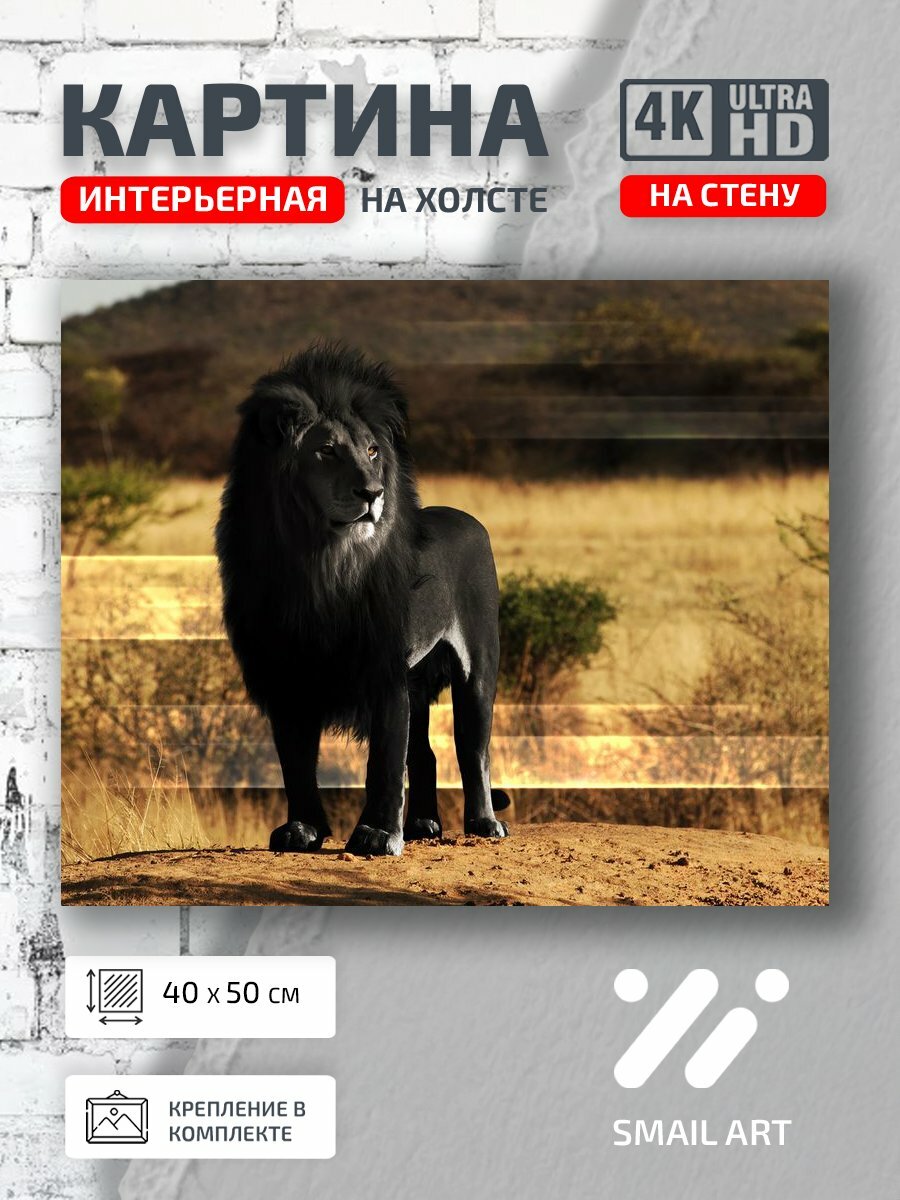 Картина на холсте интерьерная 40 на 50 на стену Лев Animal для детской animal style декор