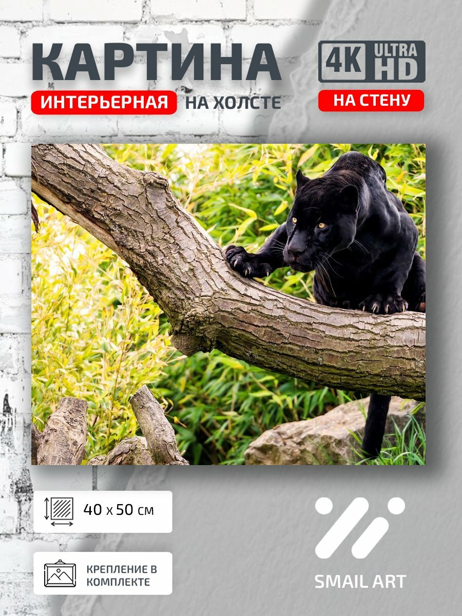 Картина на холсте интерьерная 40 на 50 на стену Пантера Landscape для гостиной пейзаж декор