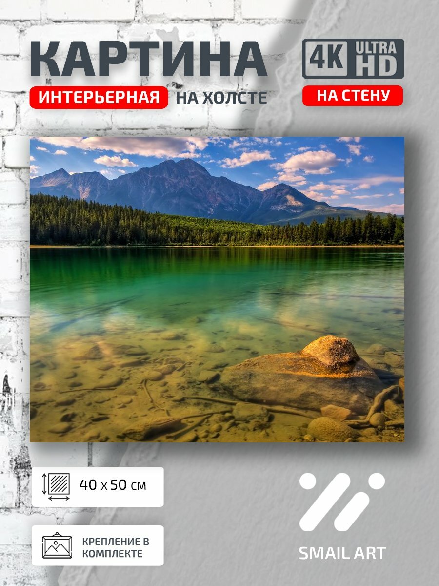 Картина на холсте интерьерная 40 на 50 на стену Гора mountain для кафе пейзаж интерьер