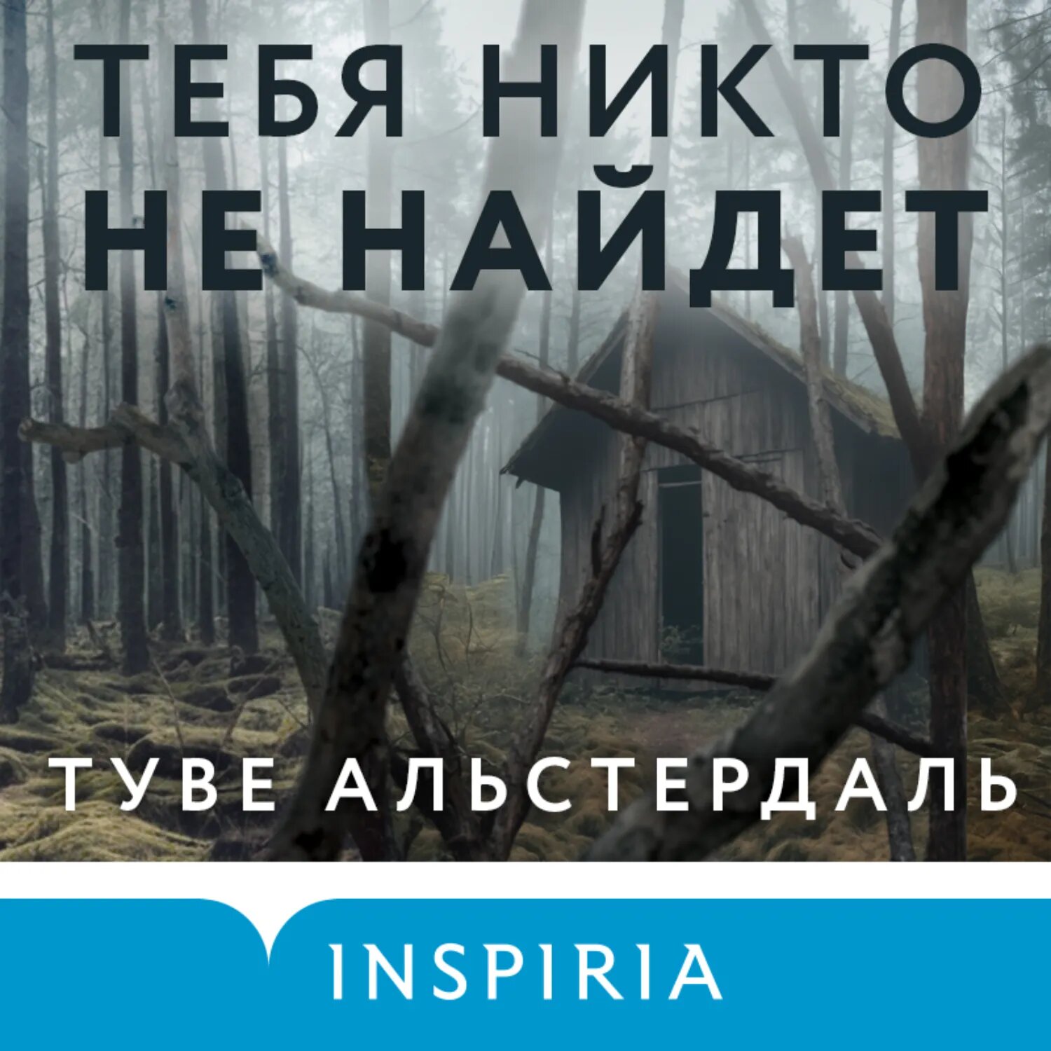Тебя никто не найдет [Аудиокнига]