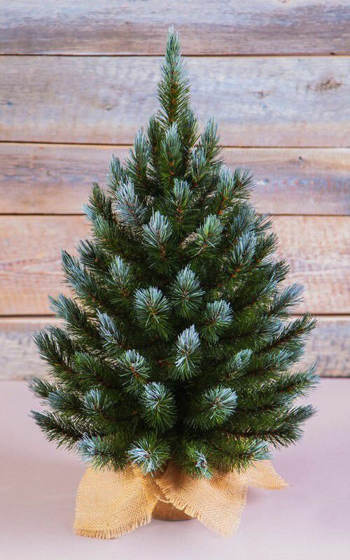 Елка настольная в мешочке Женева заснеженная 60 см, леска, Triumph Tree 73062