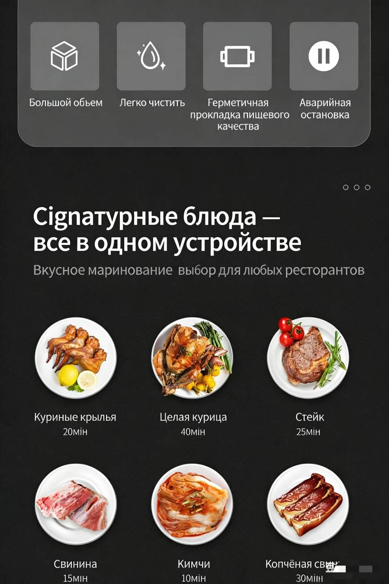 Маринатор производственный — фото 1