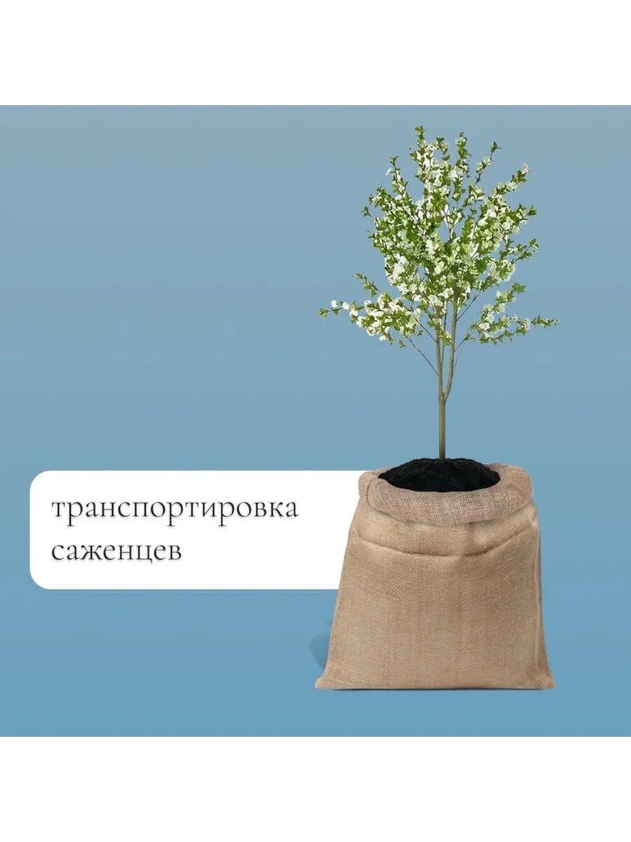 Прочный мешок из натурального джута для хранения