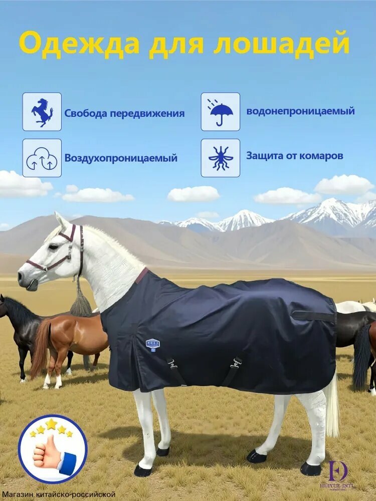 Попона для лошади