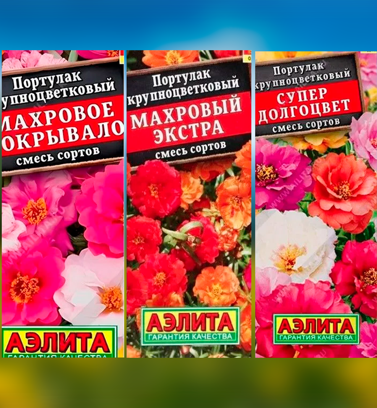 Набор семян цветов аэлита "Набор портулака", 3 упаковки, однолетние, 10 г