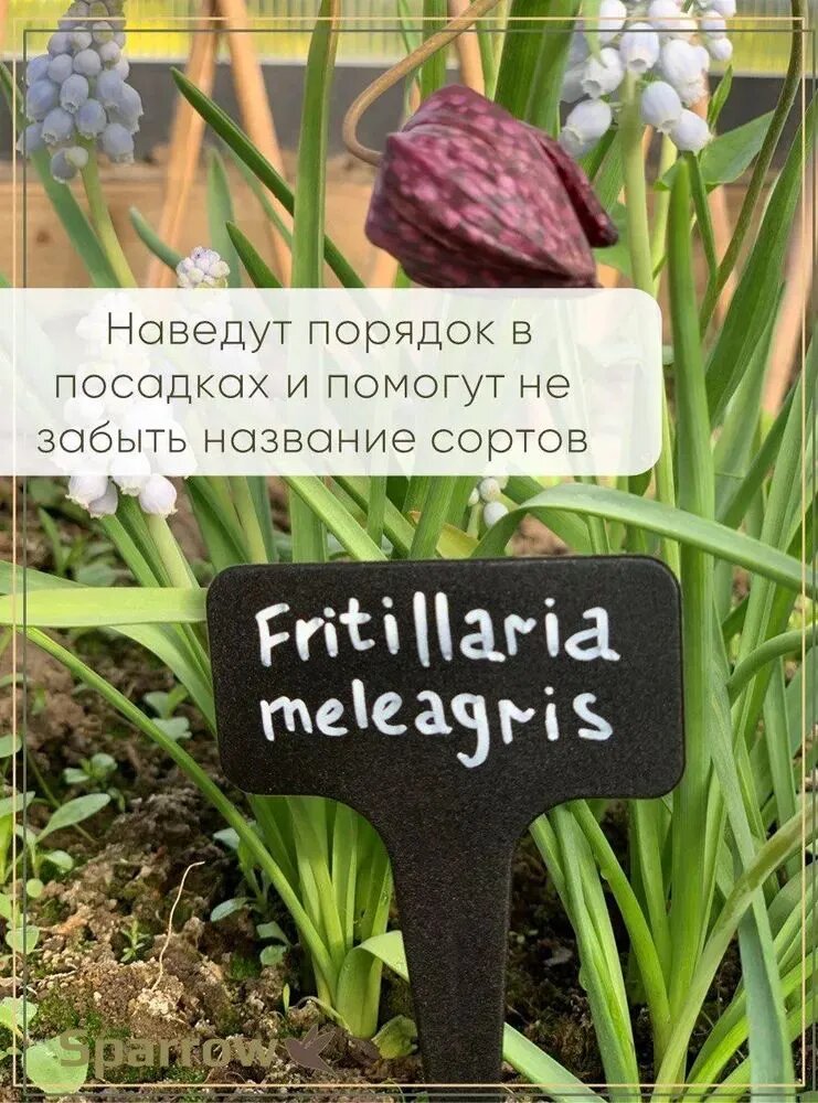 Табличка садовая,20шт — фото 1