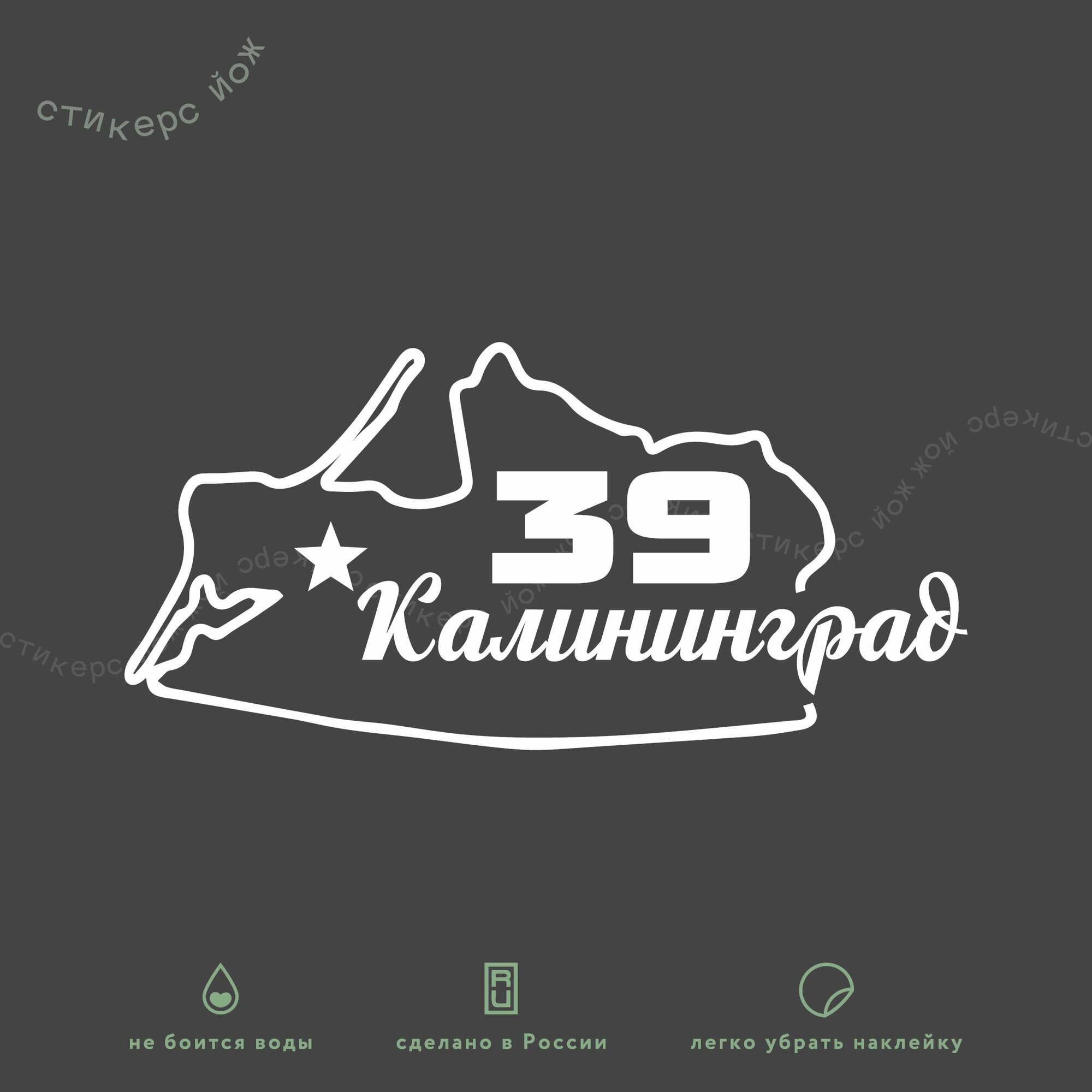 Наклейка "39 регион / Калининградская область" 17х8 см