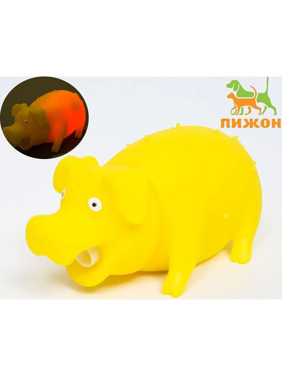 Игрушка резиновая для собаки, с пищалкой, поросенок