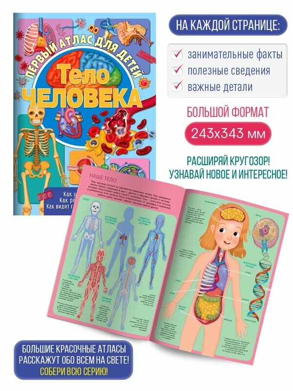 Первый атлас для детей. Тело человека