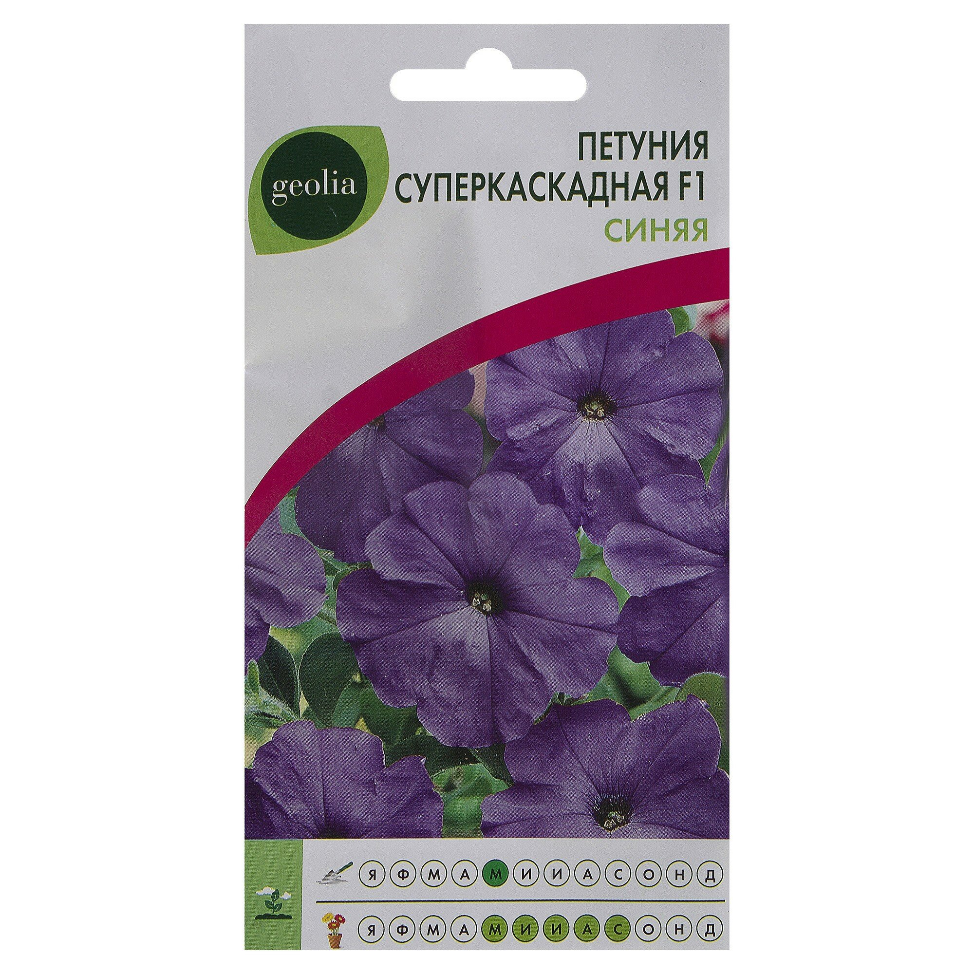 Петуния Geolia суперкаскадная синяя F1, для дачи, сада, огорода и на рассаду