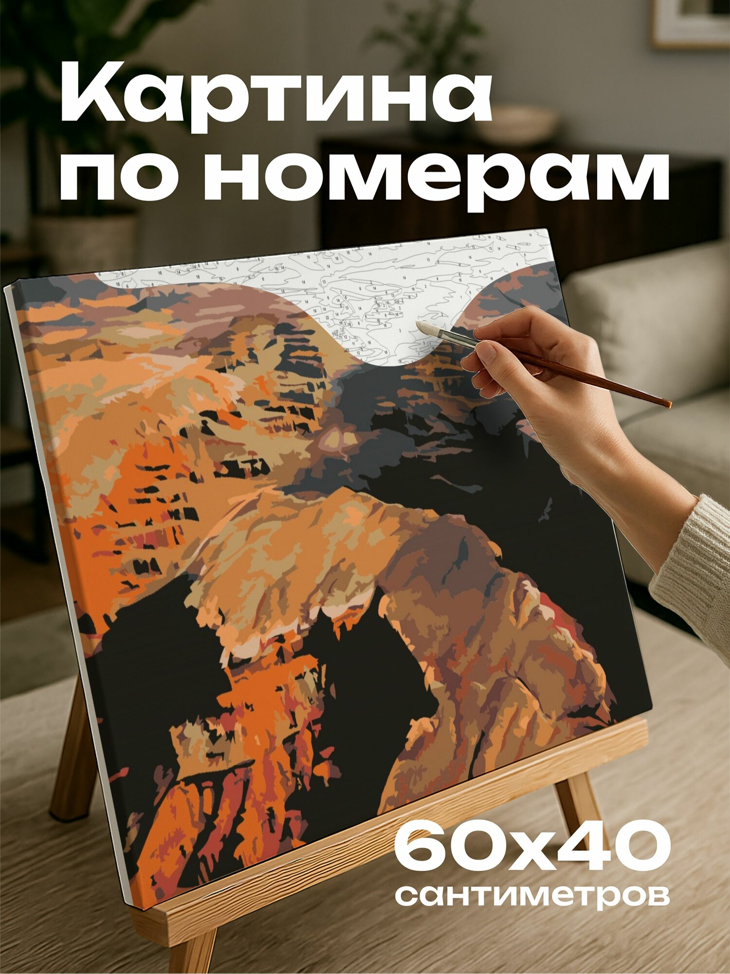 Картина по номерам 60x40 см, аэрофотосъемка, Файерстоун, горы, каньоны, свет и тени, облака, небо, Огненный камень