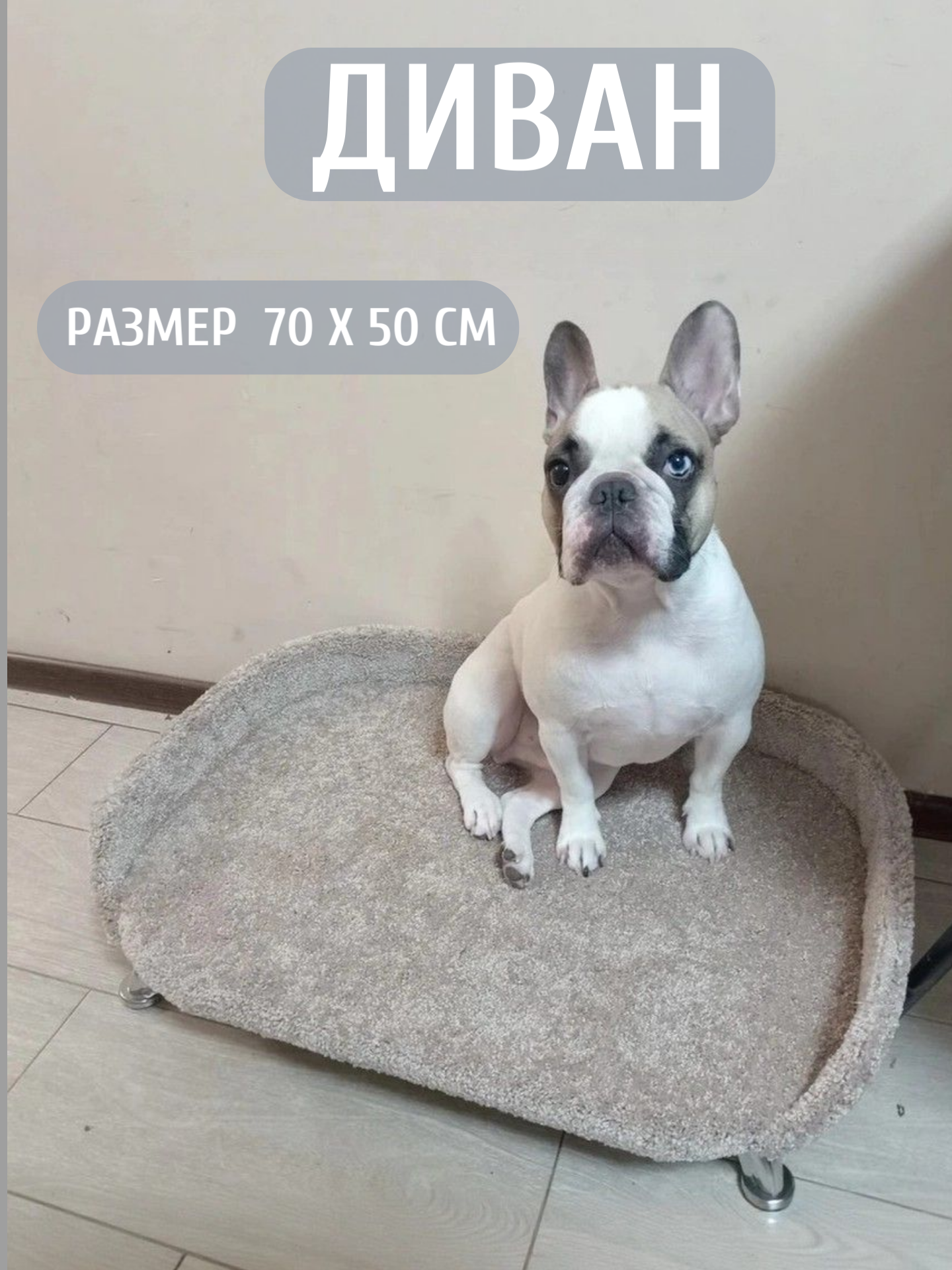 Лежанка для собак, Ван Кот, для средних пород, с бортиком на ножках, ковролин, бежевый, 70х50 см