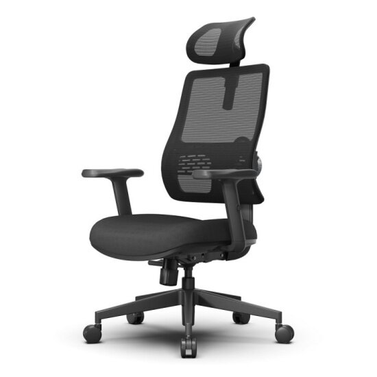 Кресло руководителя Foxgear NETZ One, DGBK, чёрный