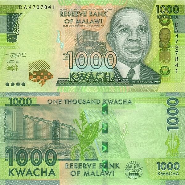 Малави 1000 квача 2014-2024 силосы для кукурузы UNC