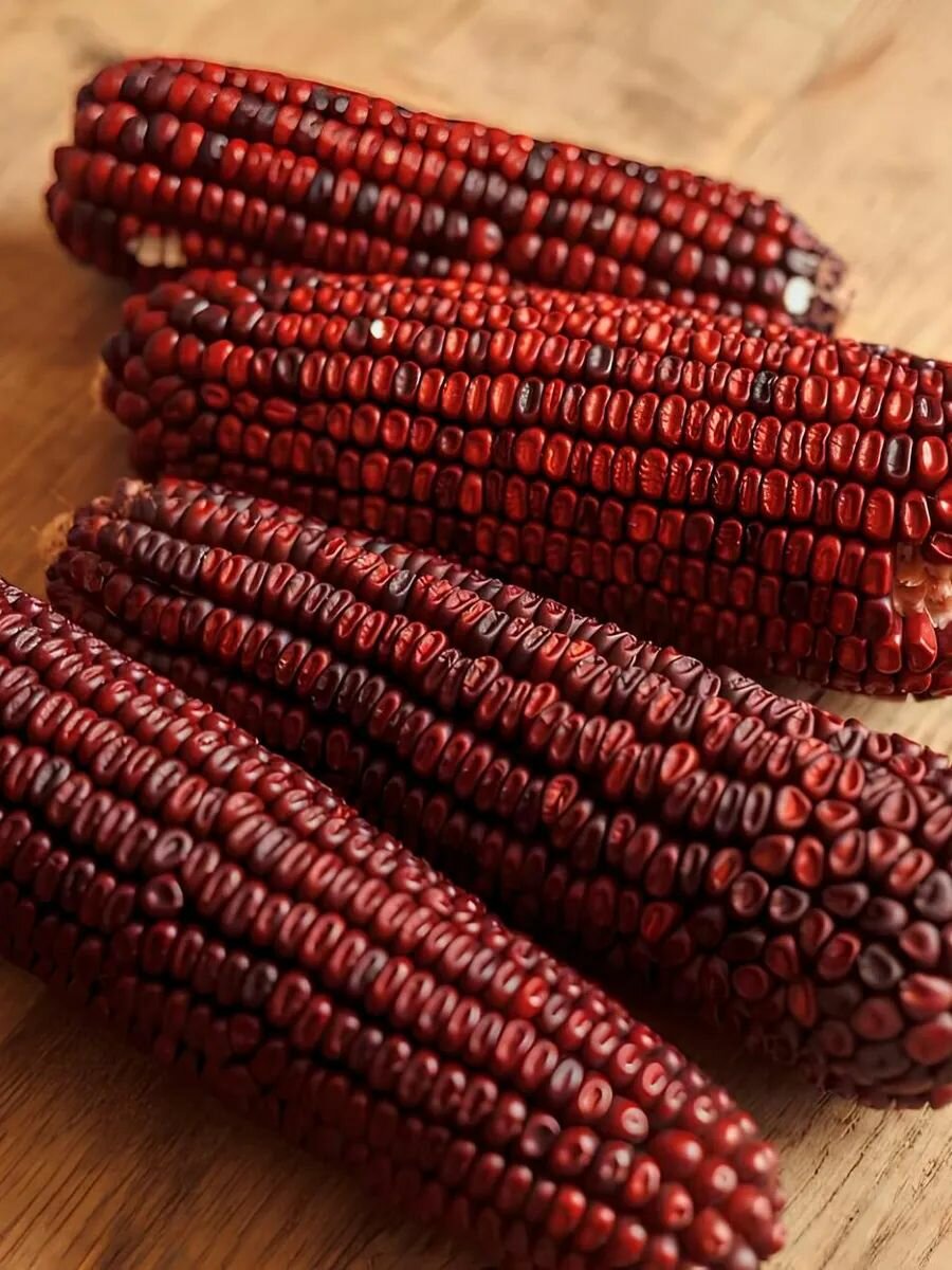 Кукуруза Красная Джимми 10 сем, Частная коллекция семян