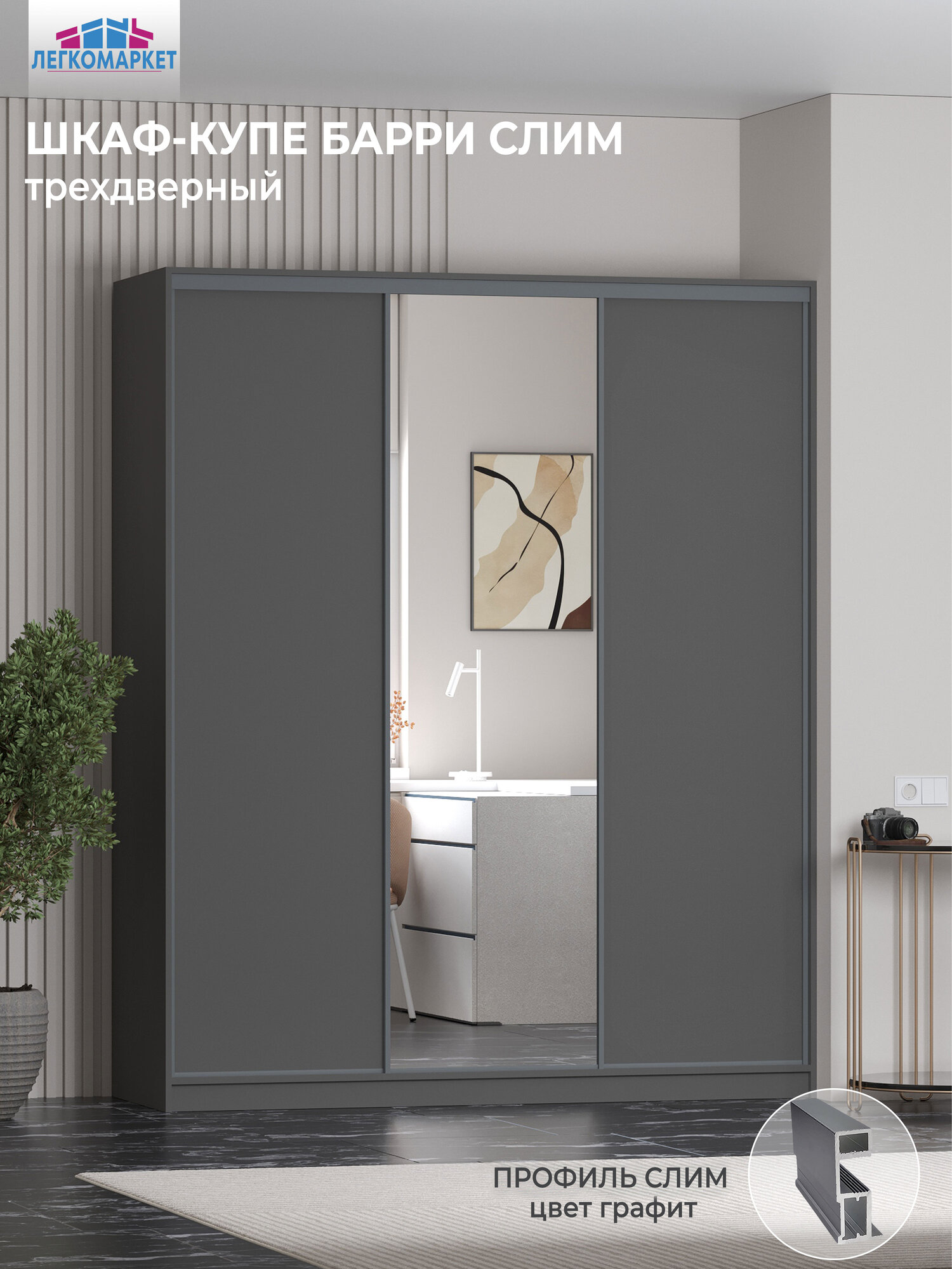 Шкаф-купе с зеркалом Барри Слим 3 200-60-220 графит профиль графит белье-платье