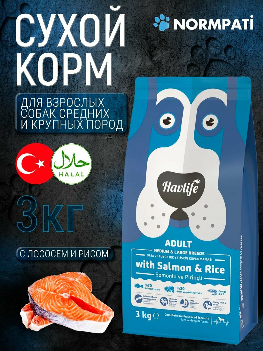 HAVLIFE Сухой корм для взрослых собак средних и крупных пород с лососем и рисом