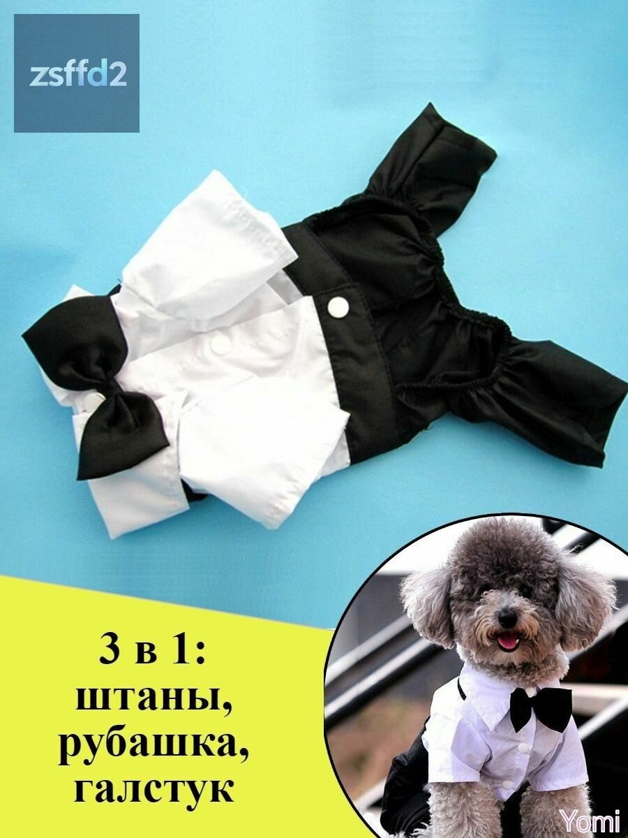 Одежда для животныхZSFDD2