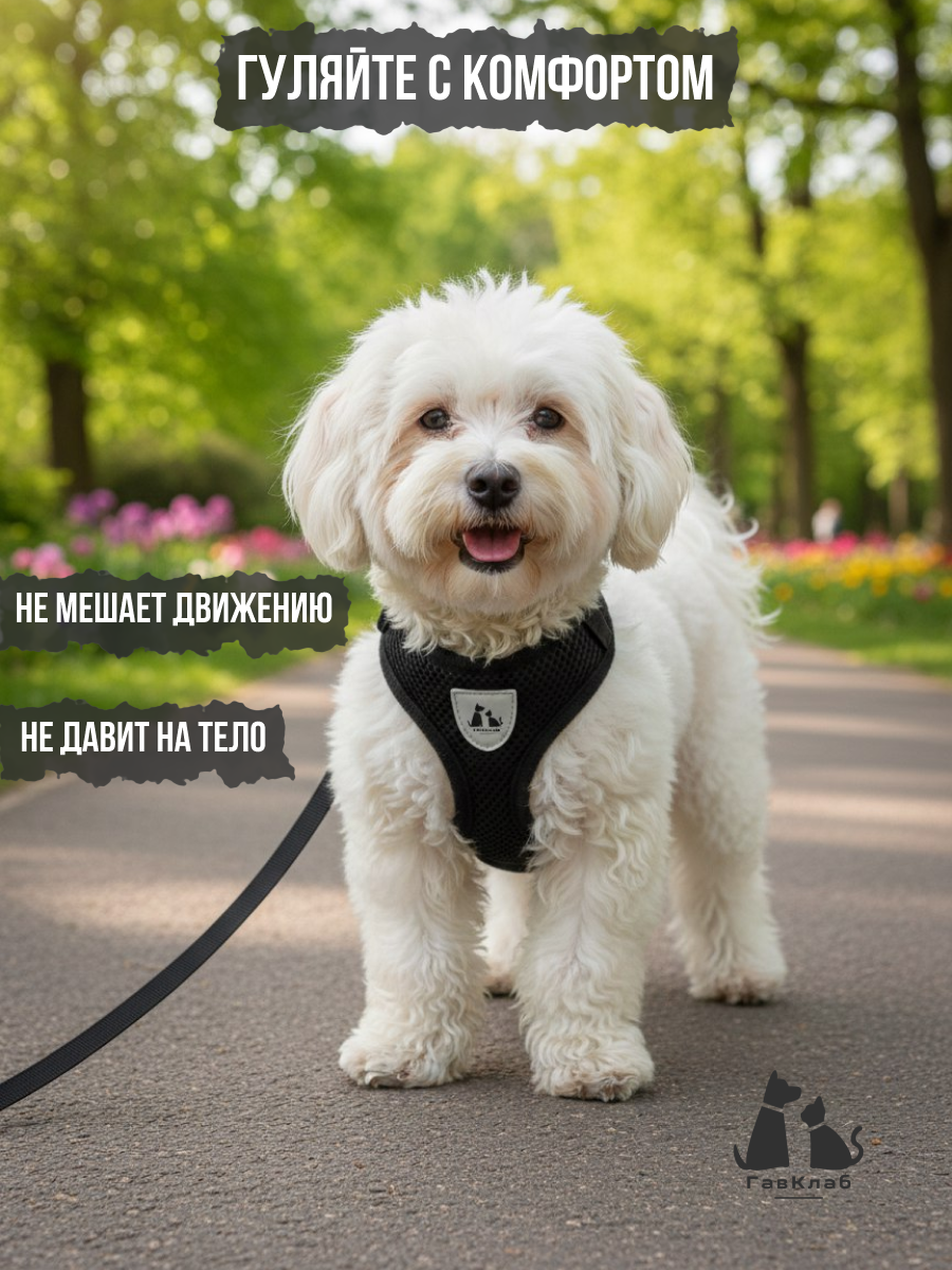 Шлейка для собак — фото 1