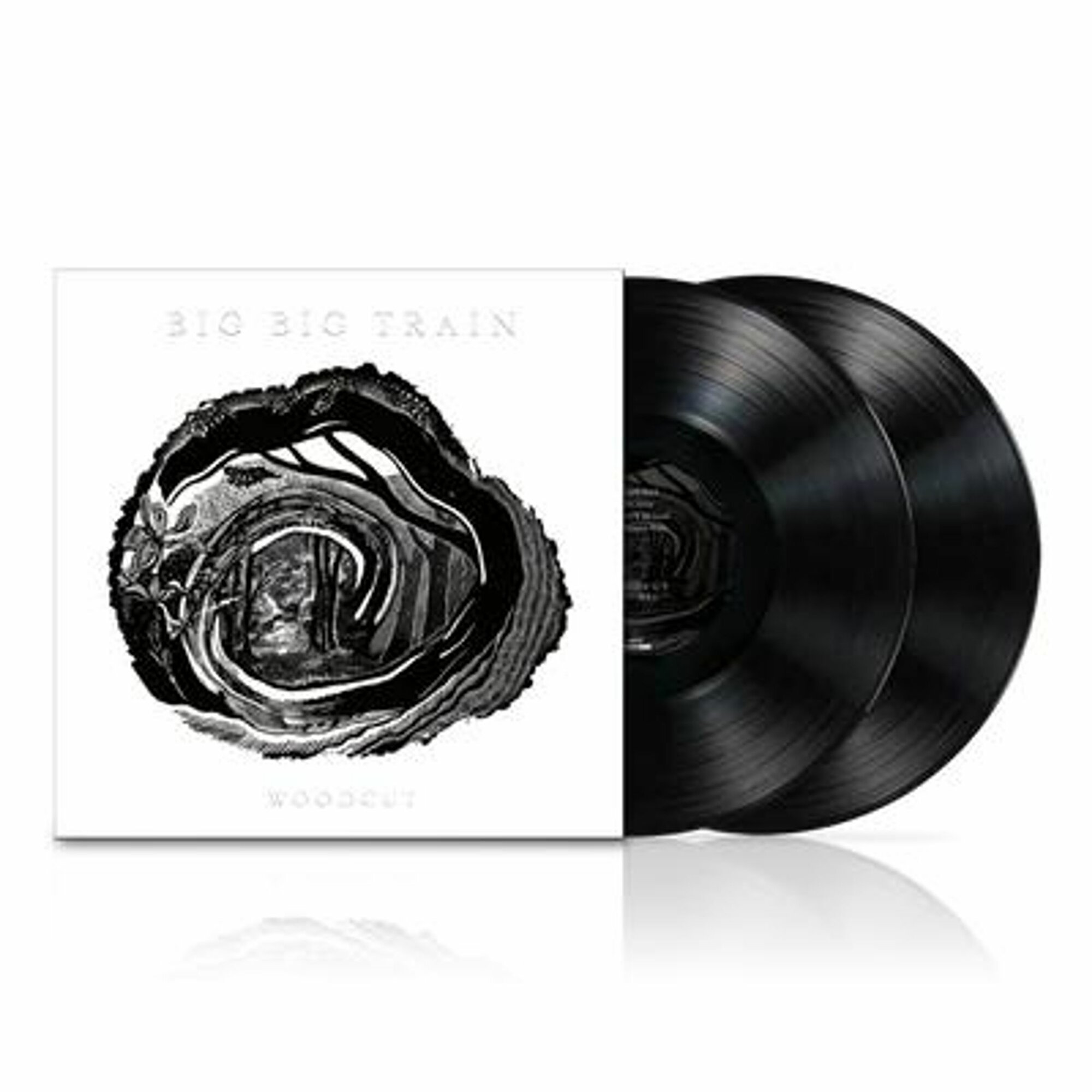 Виниловая пластинка Big Big Train - Woodcut (2 LP) (2 LP)