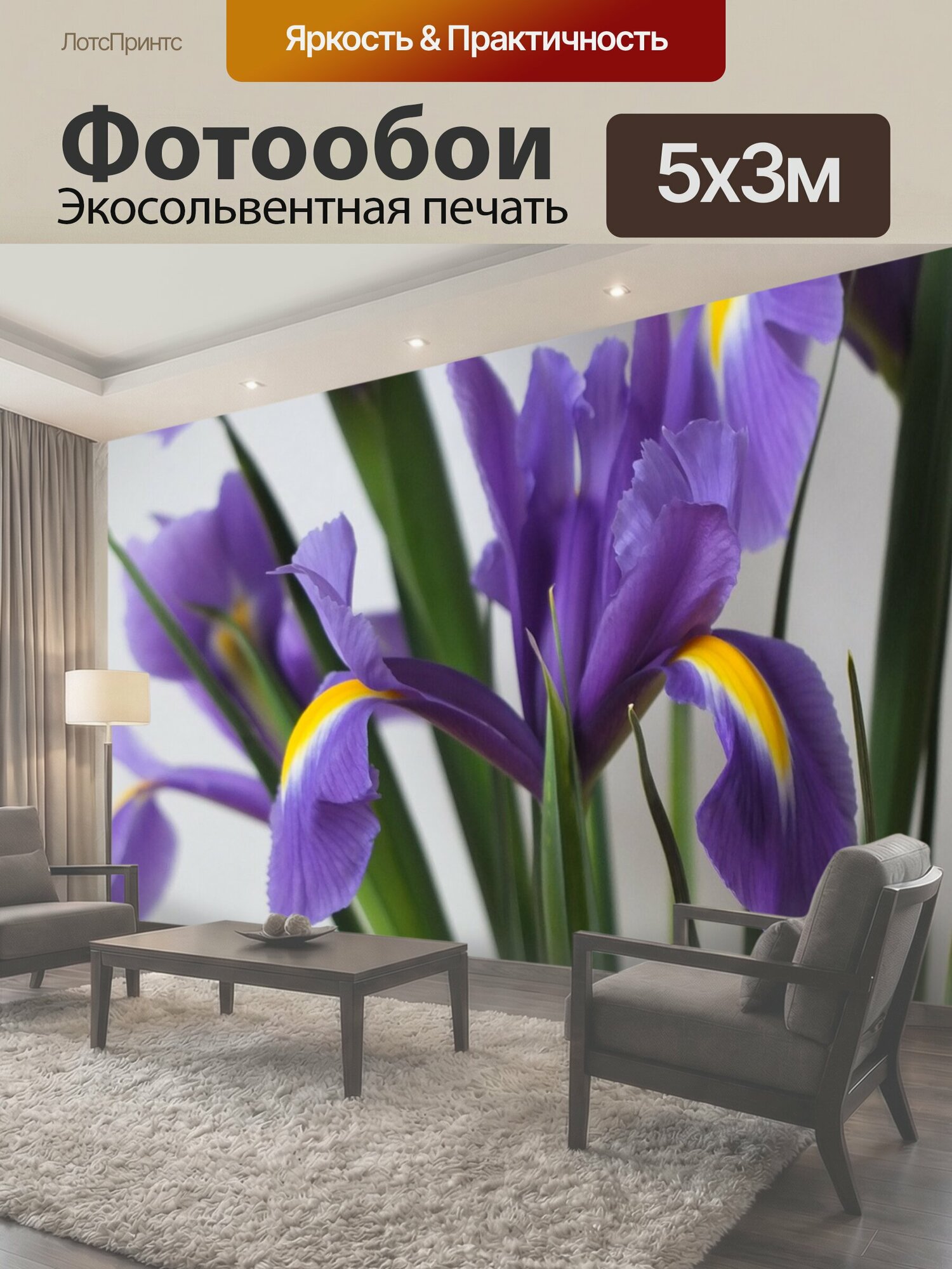 Фотообои "Ирис, цветы, цветочный" 500x300 см. экосольвентная печать