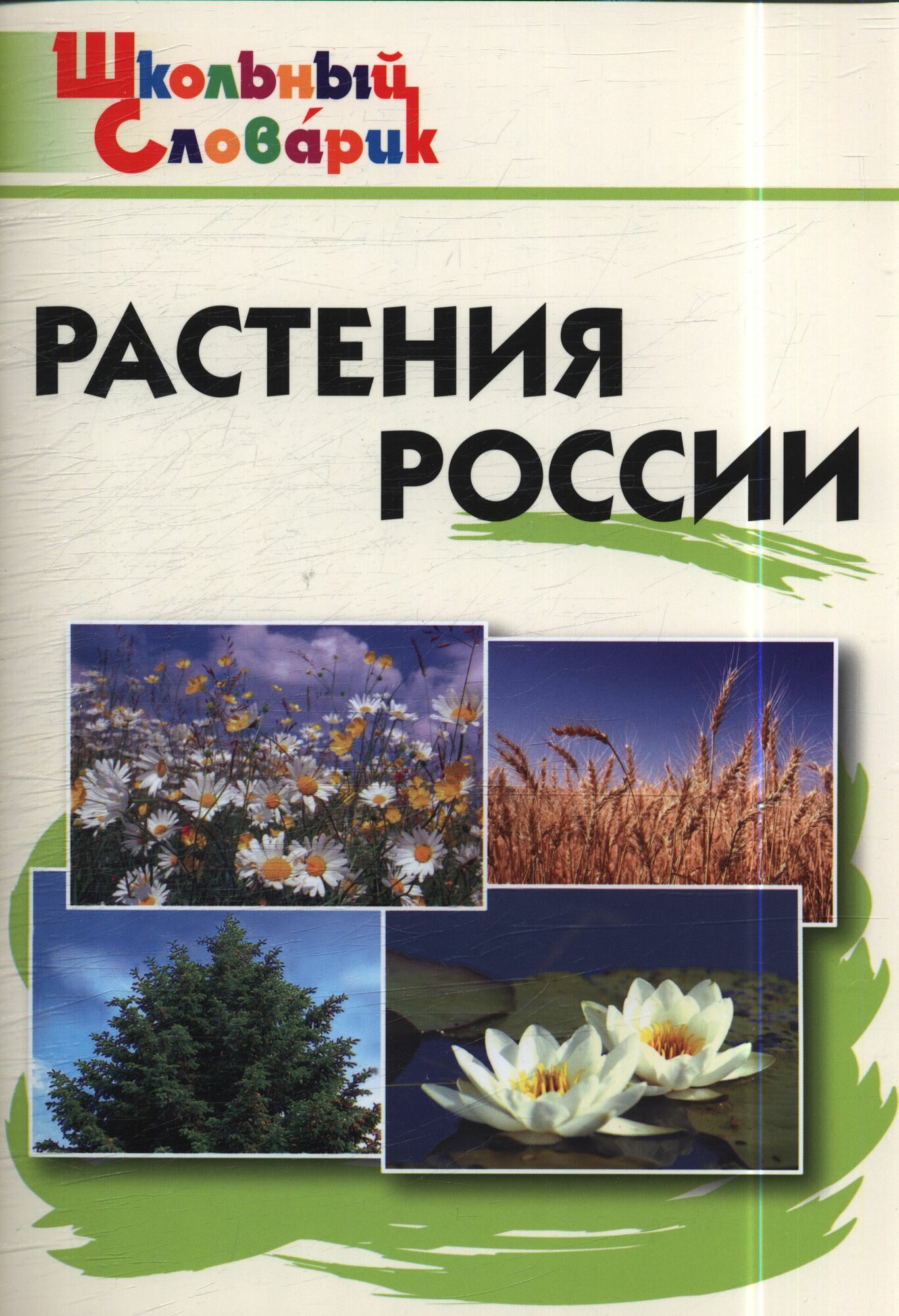 Школьныйсловарикфгос Растения России. Начальная школа (Васильева Н. Ю.), (Вако, 2024), Обл, c.80