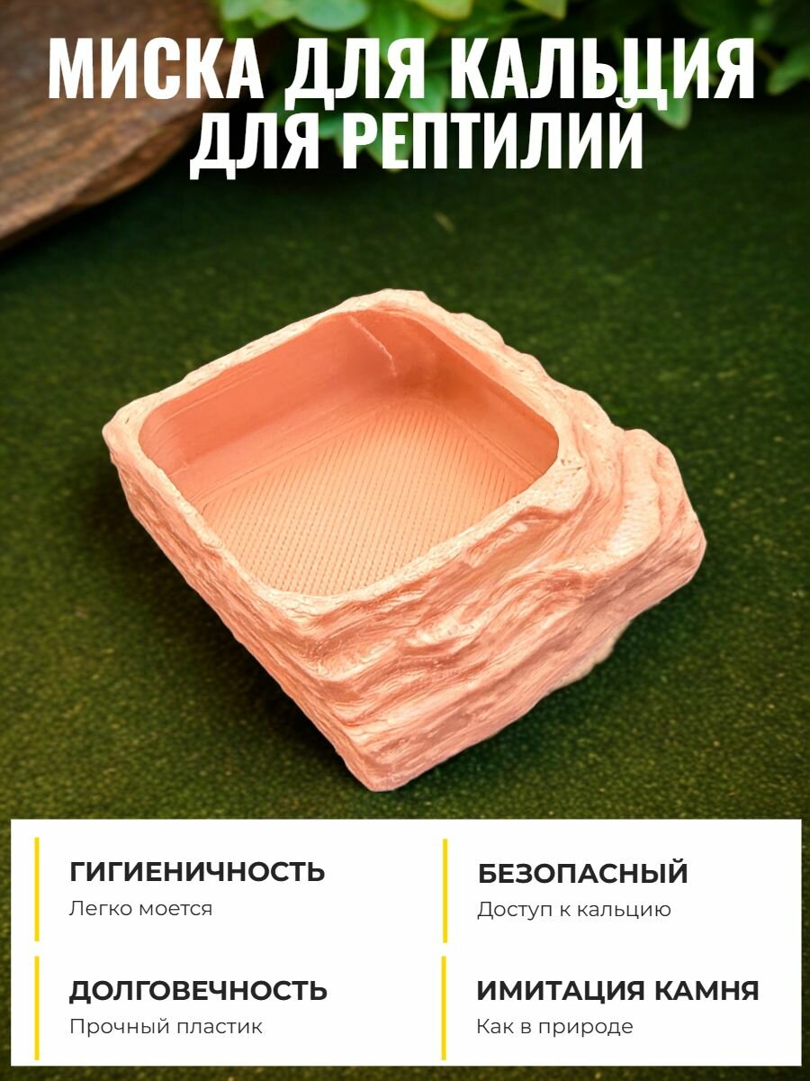 Миска для кальция "Природный камень" для рептилий