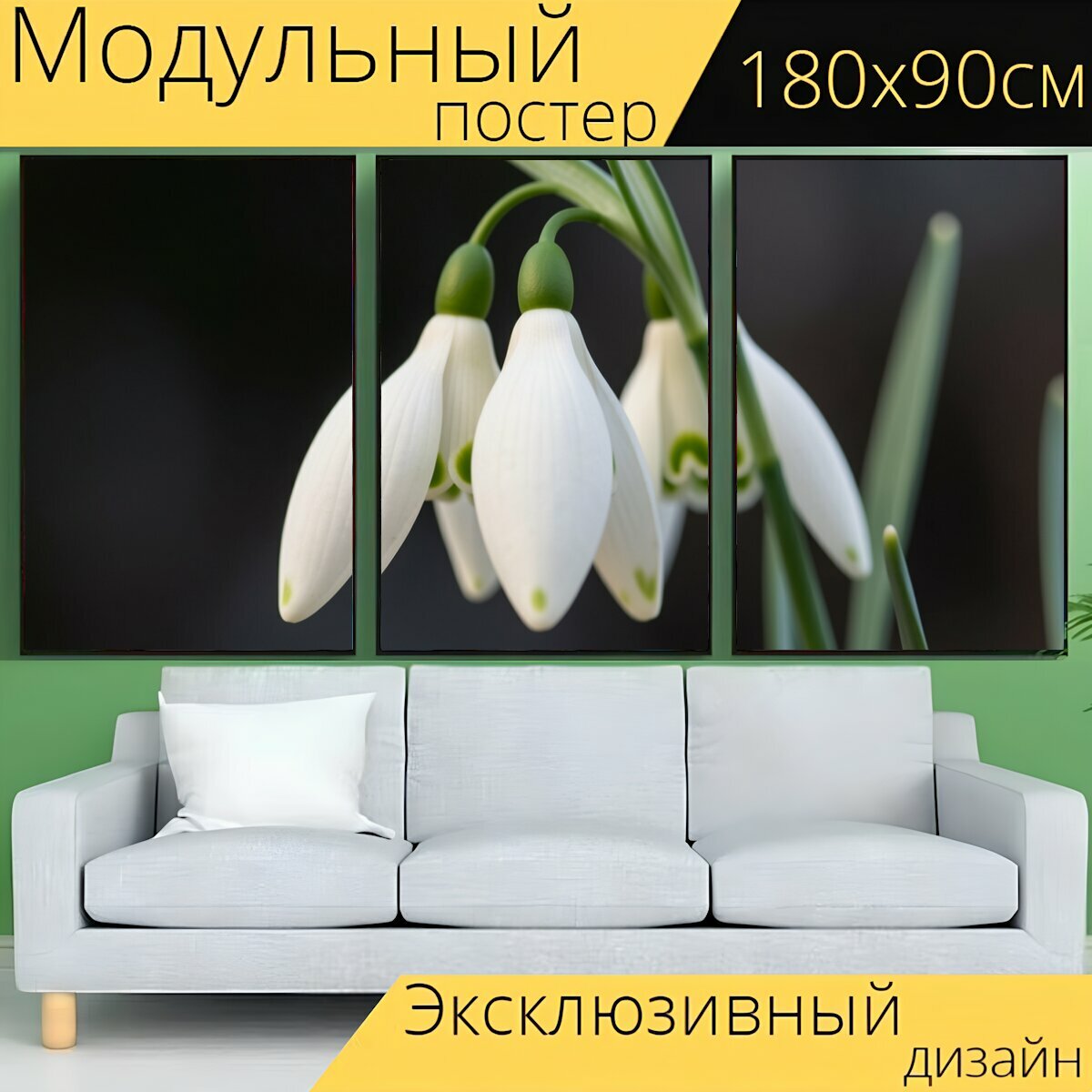 Модульный постер "Подснежники крупным планом. Нежные весенние цветы макросъемка: белоснежные бутоны с зелеными акцентами, тонкие." 180 x 90 см. для интерьера на стену в тубусе