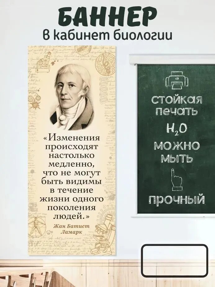 Плакат-баннер в кабинет биологии Ламарк